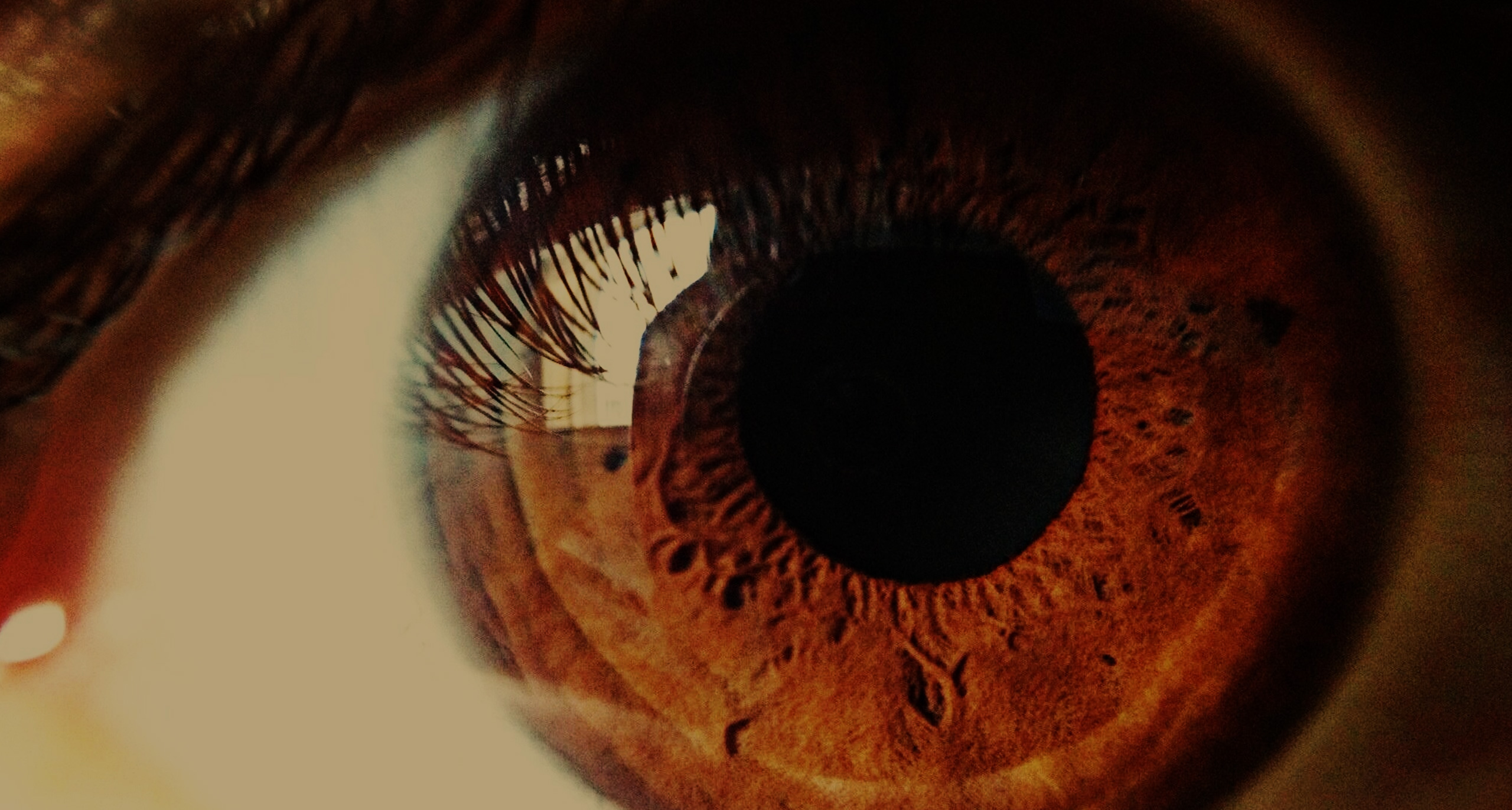 Kodiak Sciences - Novel medicines for retinal disease