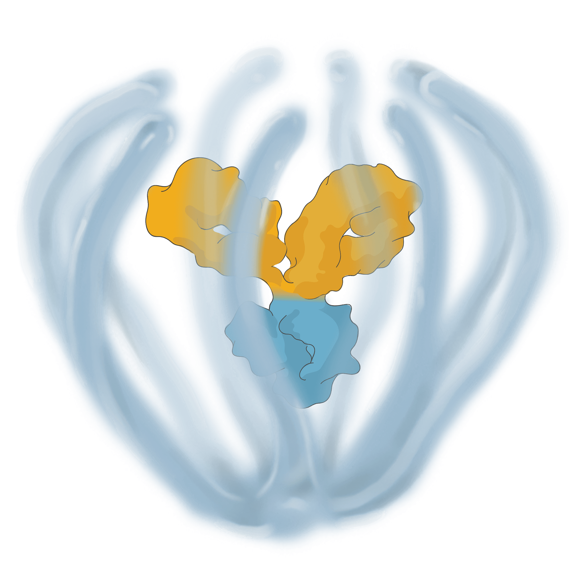 Innovative Ophthalmic Therapies – Kodiak Sciences